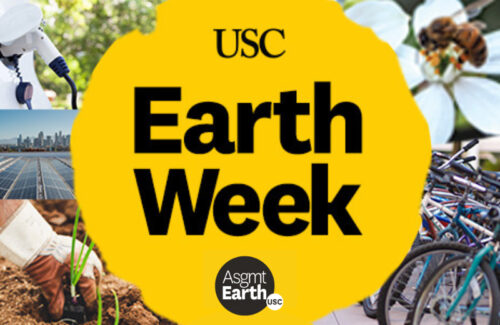 Assignment: Earth - Sustainability